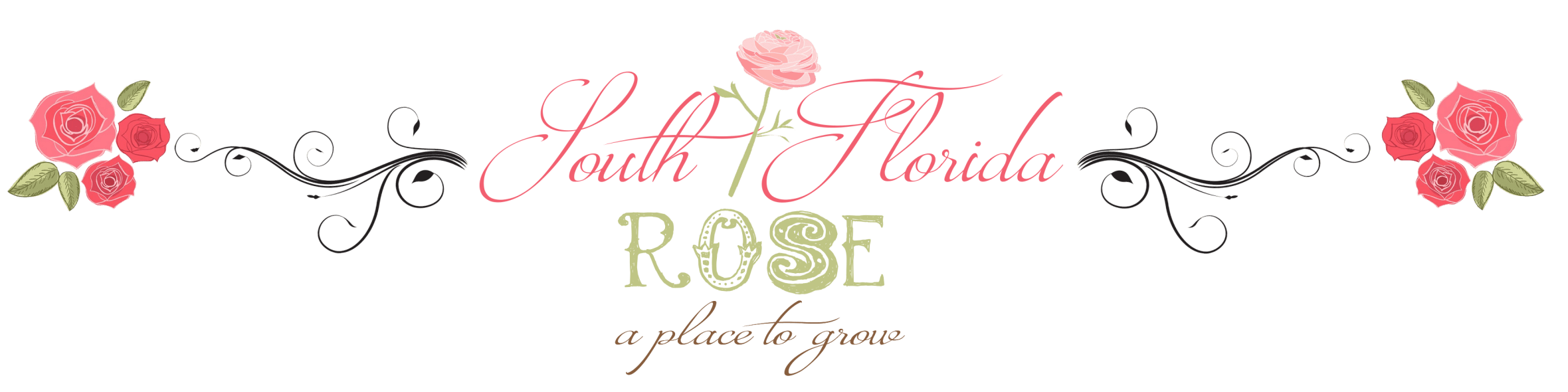 South Florida Rose – Growing Roses In South Florida